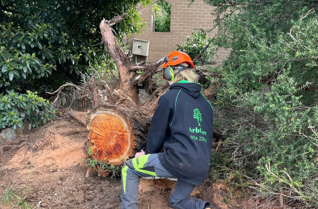 Emergency Works – ARBCARE